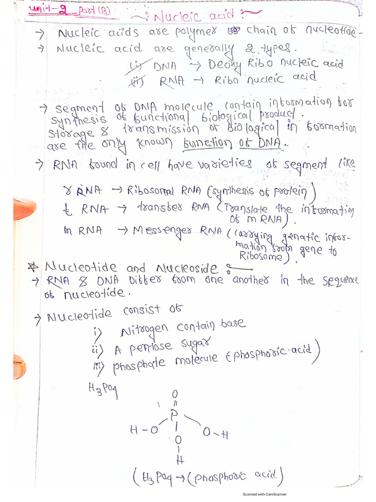 Cc14..Unit 2, Part (B) ..Nucleic Acids | PDF