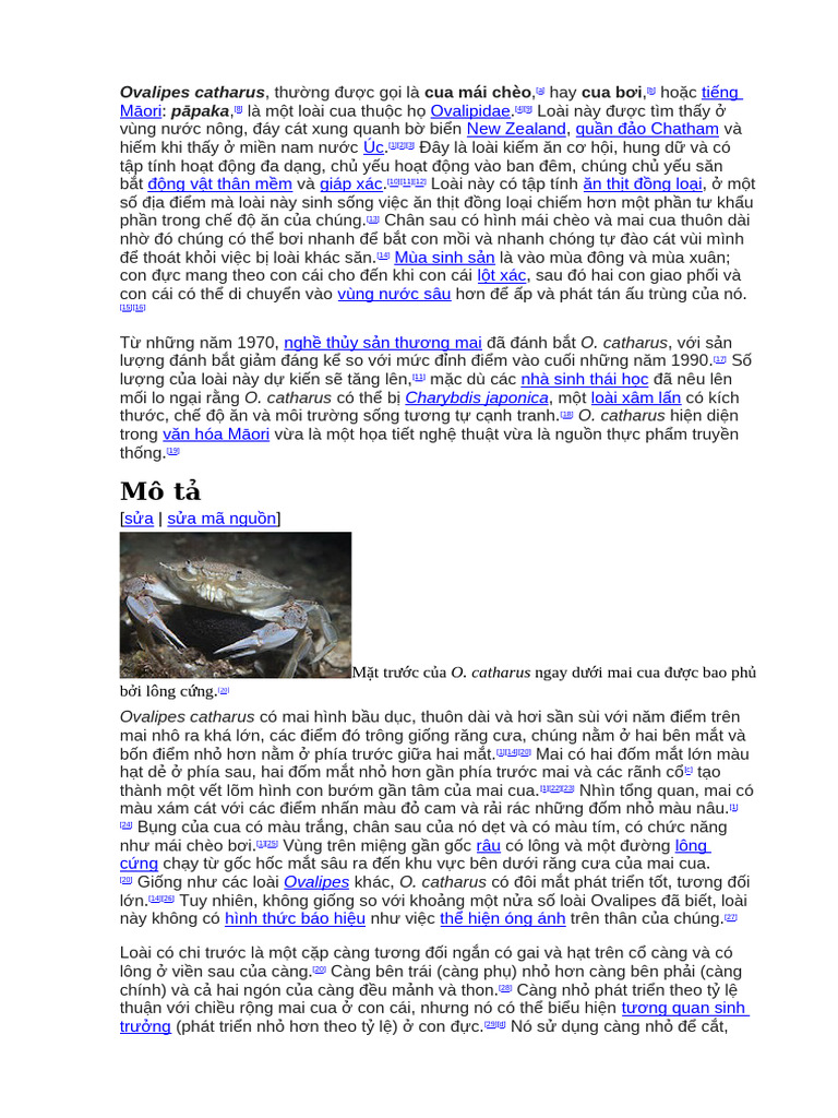 Ovalipes Catharus | PDF