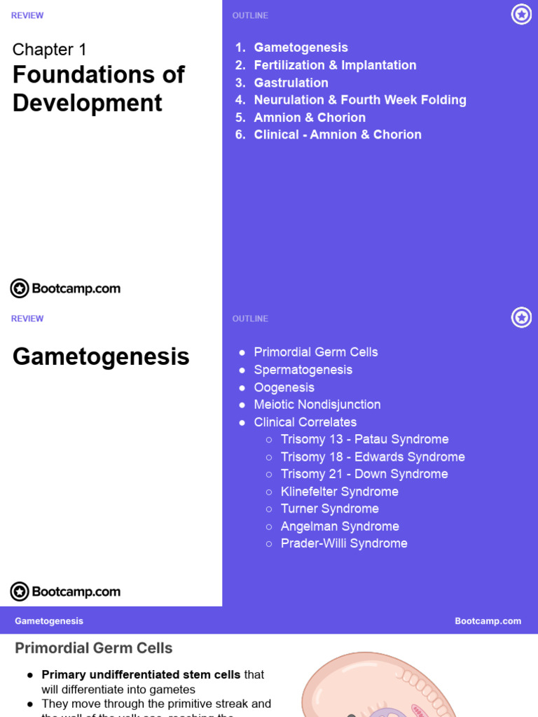 Chapter 1 - Foundations of Development | PDF | Developmental Biology | Biological Processes