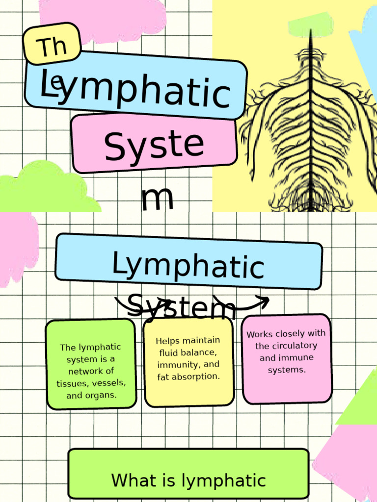 Understanding the Lymphatic System | PDF | Lymphatic System | Physiology