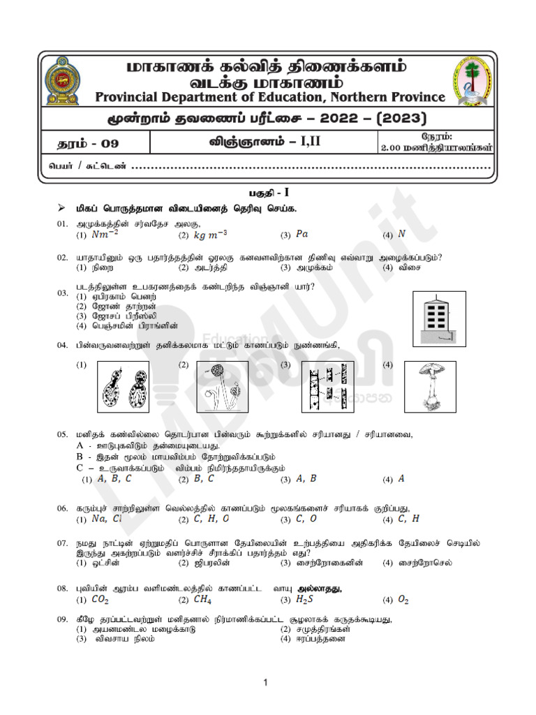gr9 Ta Science 2022 Term - 3 | PDF