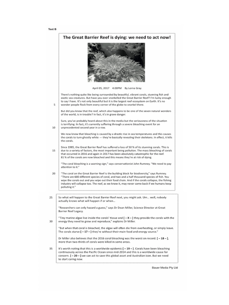 Text B (Practice) | PDF