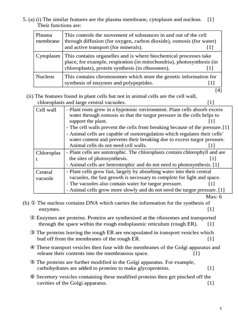 SR1 exam 1-2 2023 essay ans | PDF | Endoplasmic Reticulum | Cell (Biology)