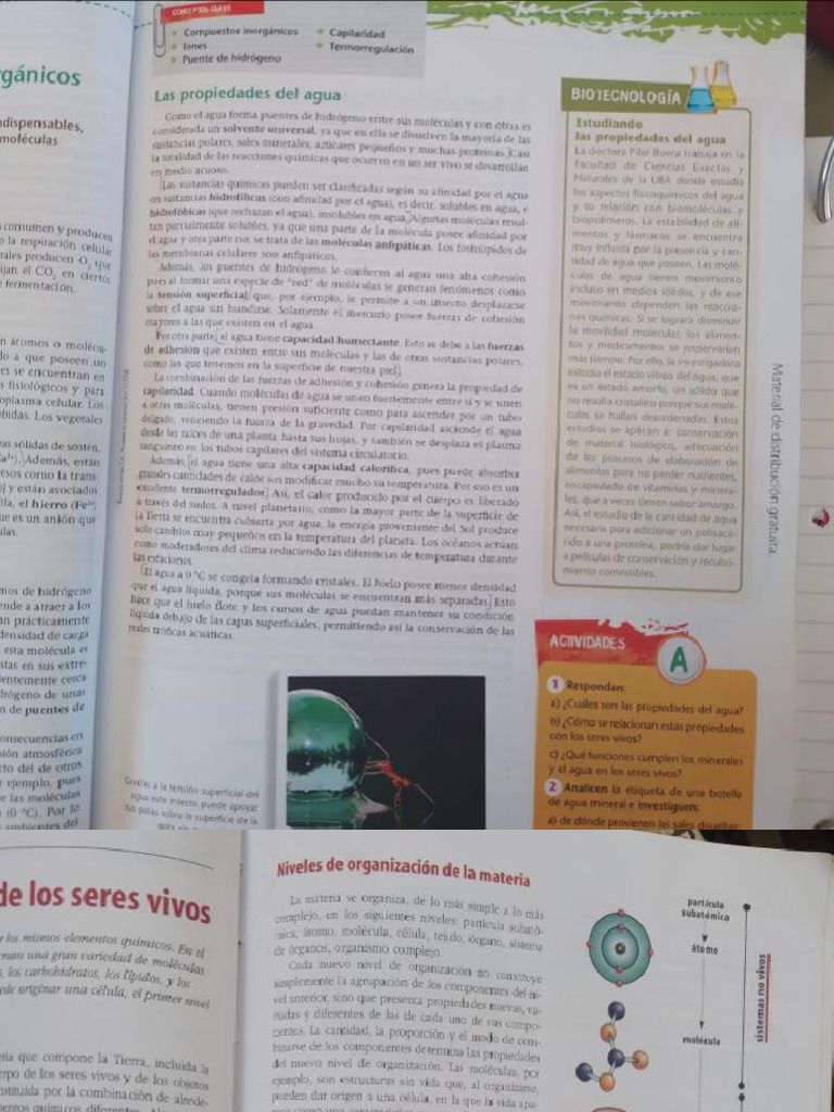 Scan 18 Abr. 24 19 15 23 | PDF