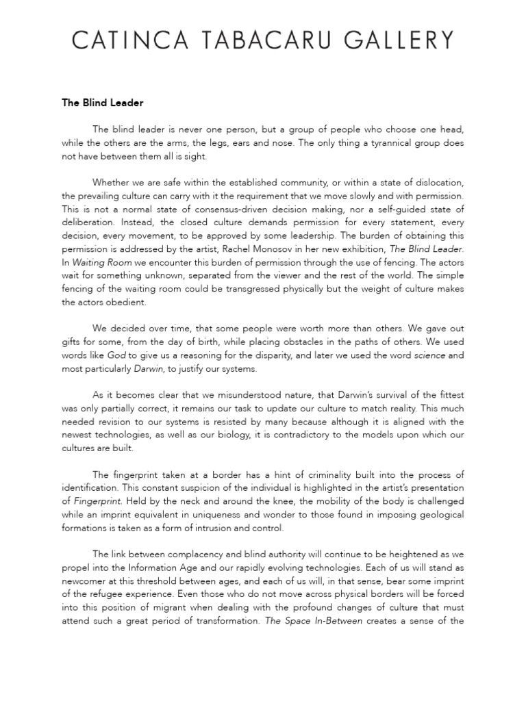The Blinder Leader Essay | PDF | Visual Perception