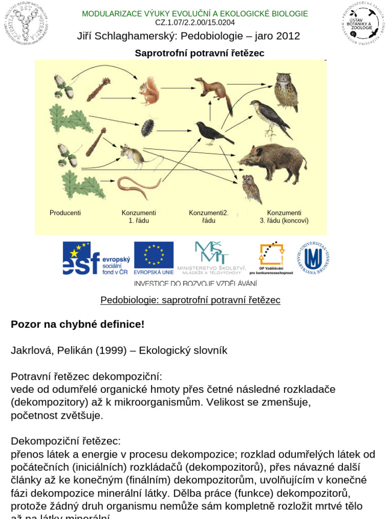 Pedobiologie 3 Potravni Site Apod | PDF