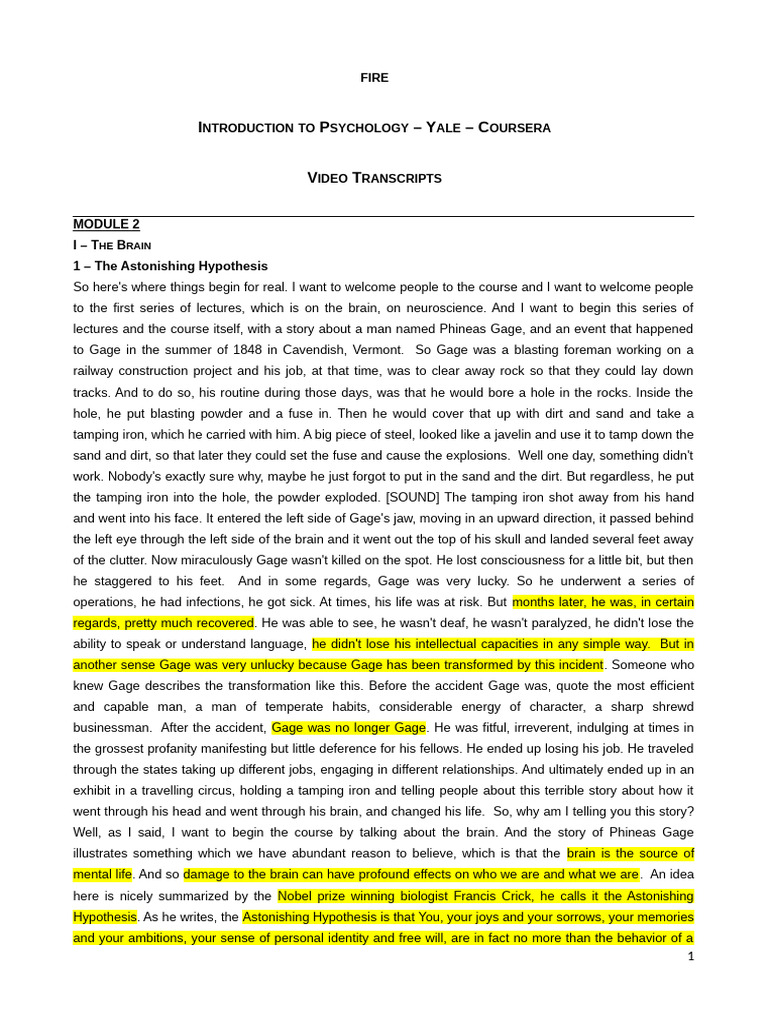 A Video Transcripts | PDF | Neuron | Neurotransmitter
