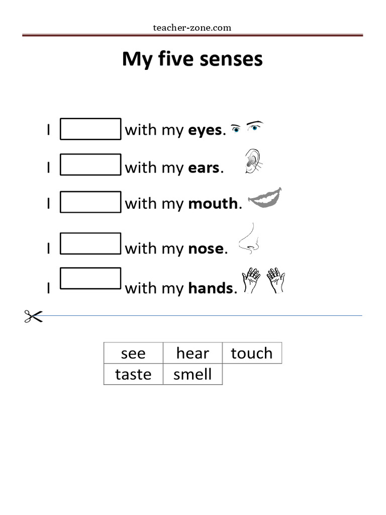 Teacher Zone - Com My 5 Senses 2 | PDF