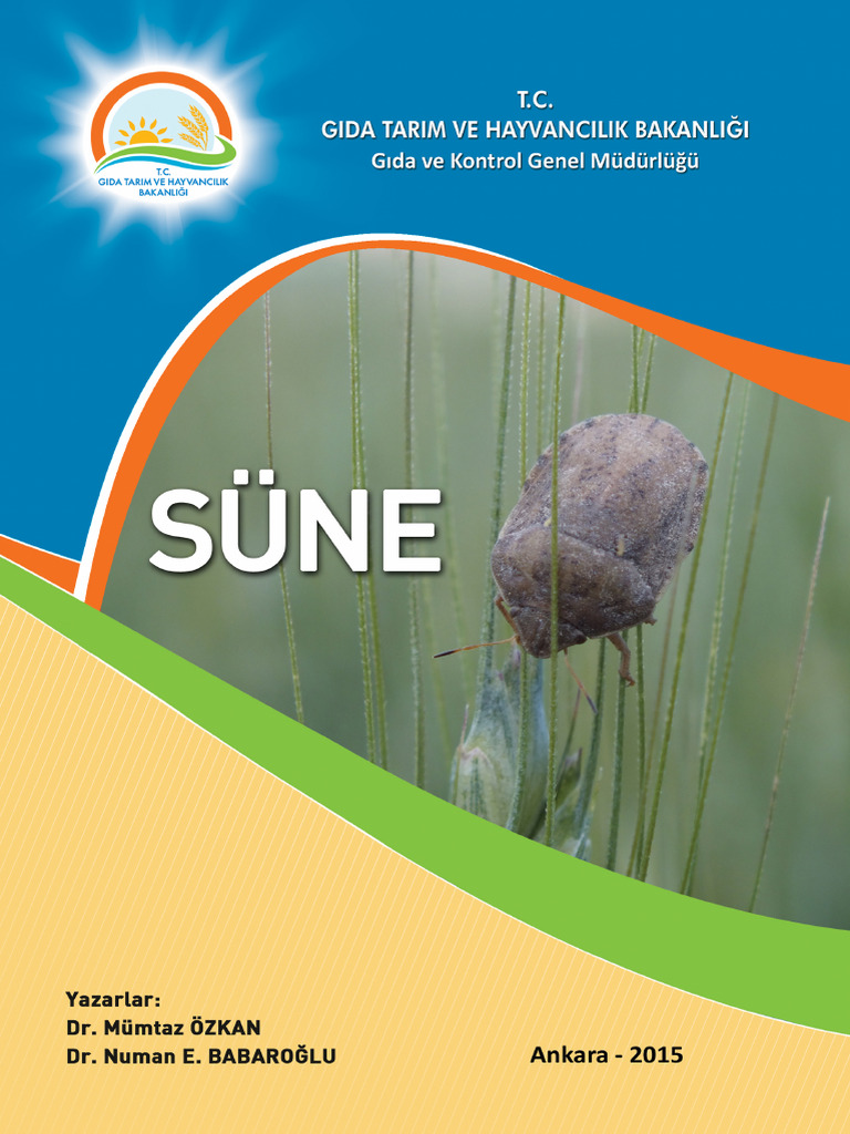 Süne | PDF