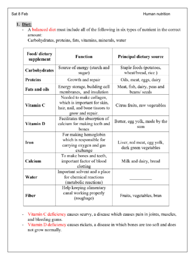 Human Nutrition | PDF