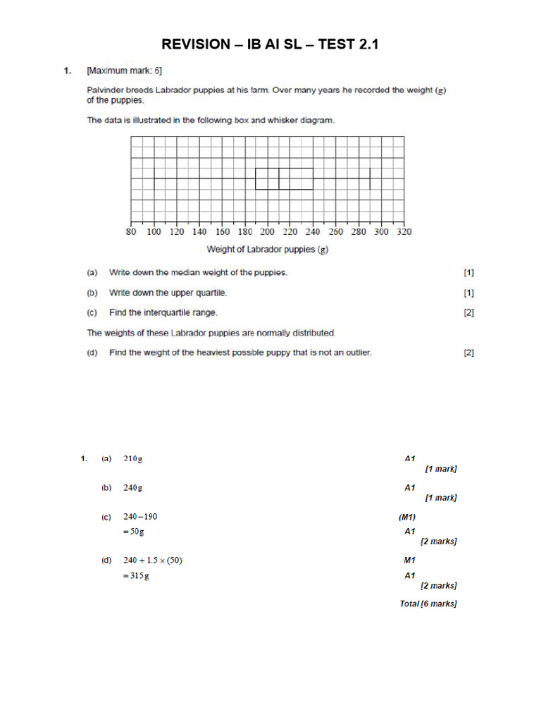 Ib Ai SL Revision 2.1 Class 10 | PDF