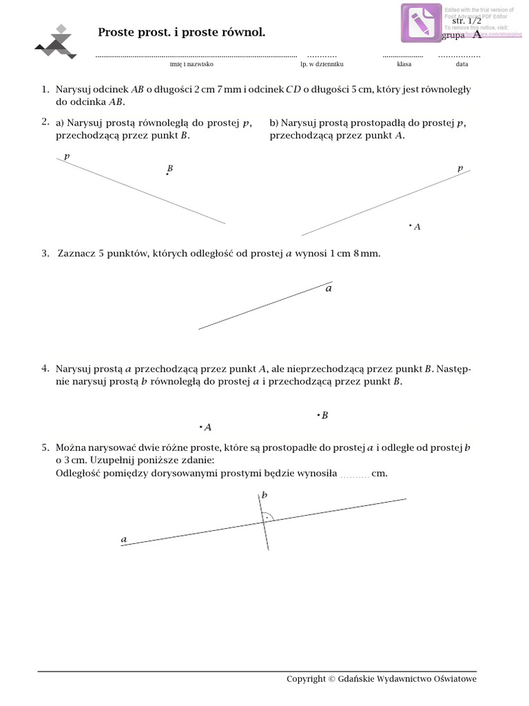 Proste Proste I Proste Rownolegle Test | PDF