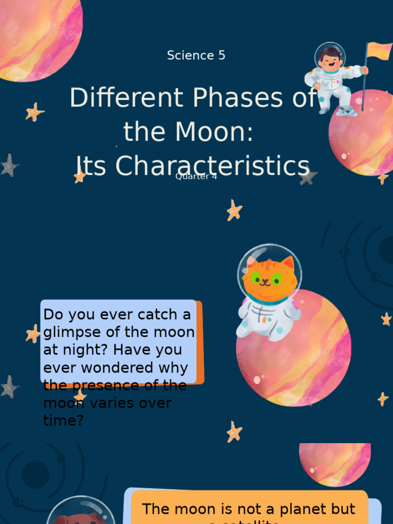 Phases of The Moon | PDF