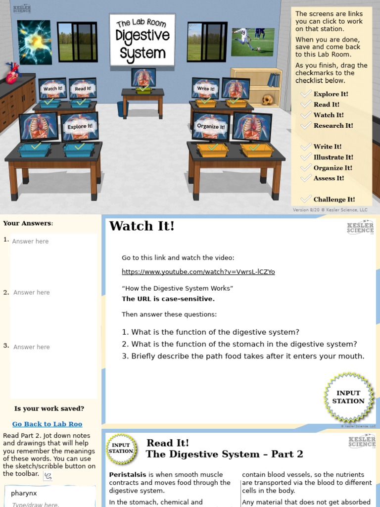 LeBlanc+Digital+Lab+KeslerScience DigestiveSystem StationLab Digital+ ...