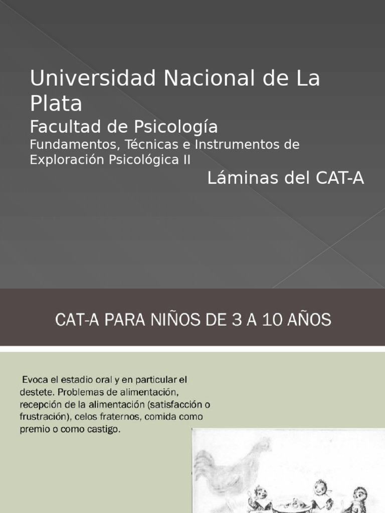 Laminas Del Cat-A | PDF