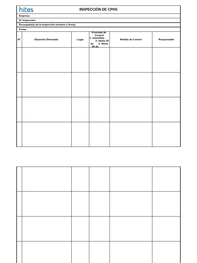 Formato de Inspeccion CPHS | PDF