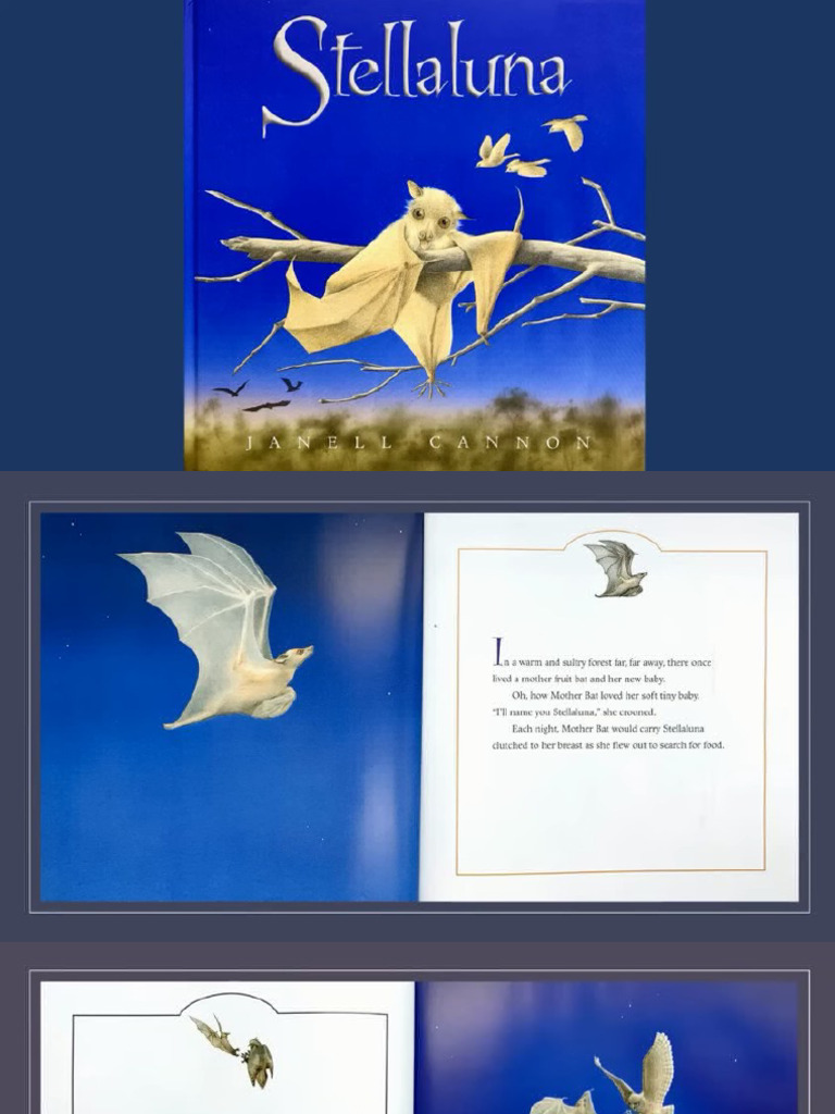 Stellaluna | PDF