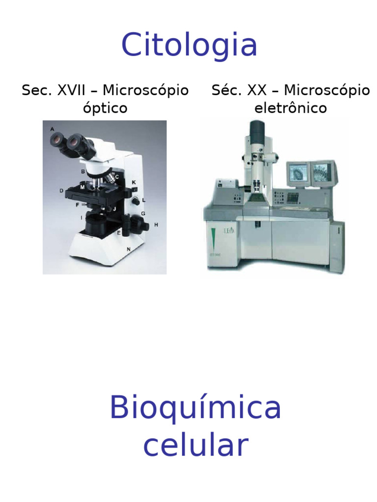 Bioquimica Celular | PDF | Enzima | Proteínas