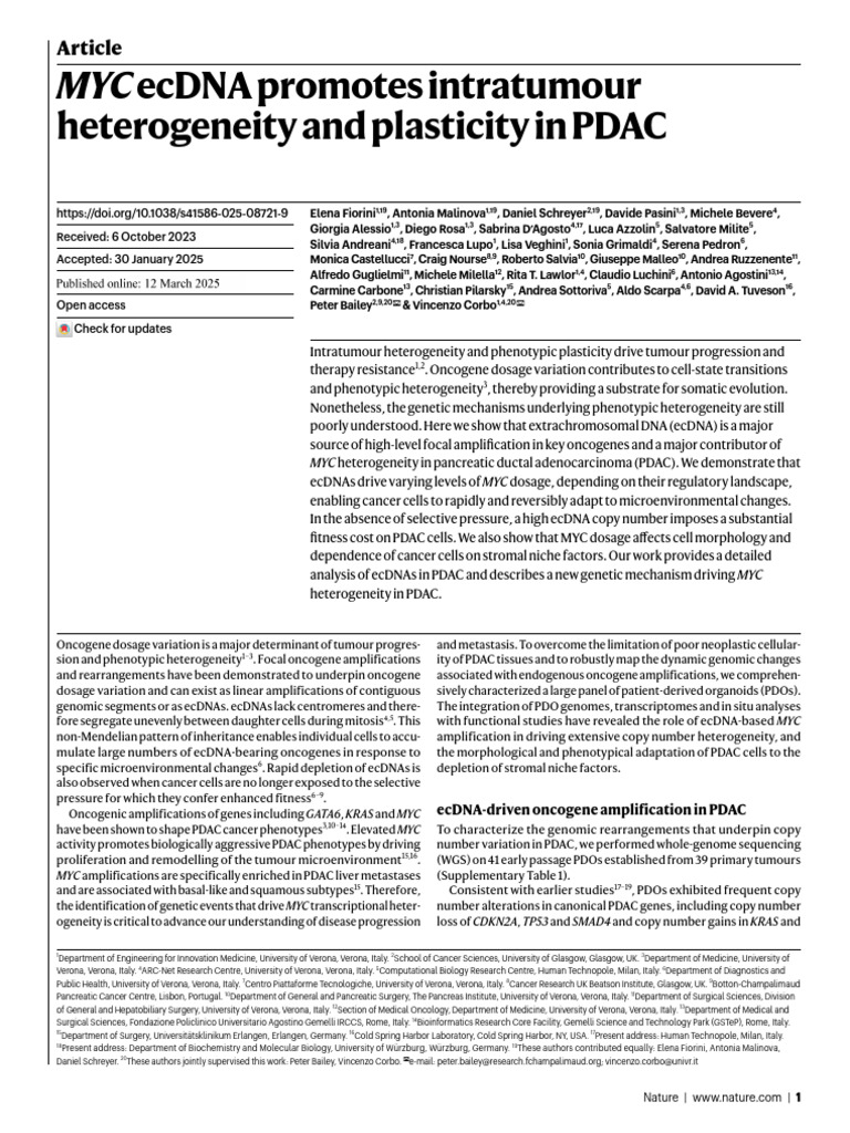 Heterogeneity and Plasticity in Pdac: Myc Ecdna Promotes Intratumour ...