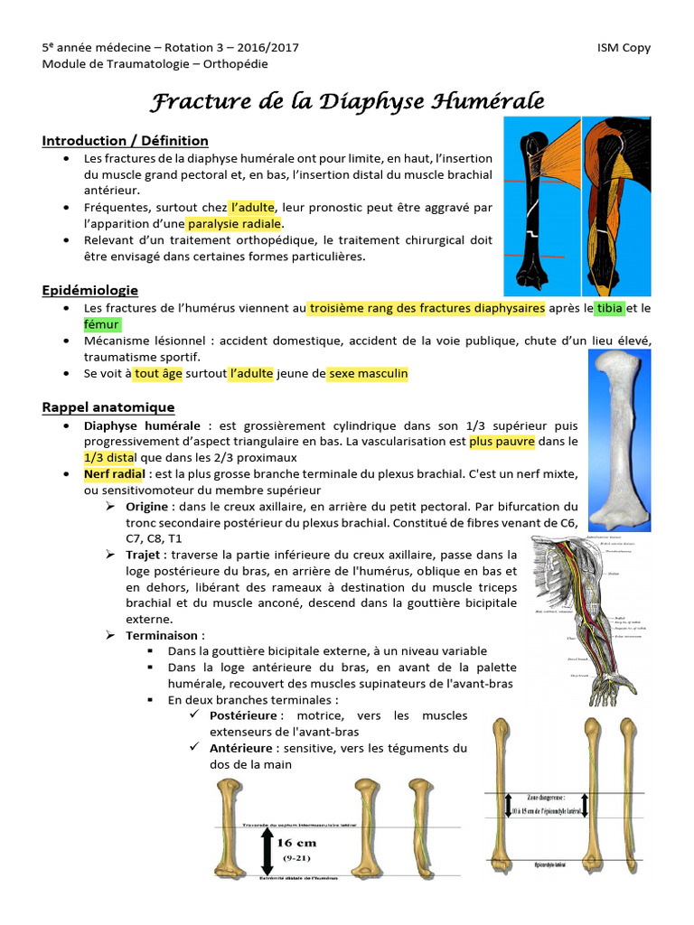Fracture diaphyse humérale : complications | PDF | Nerf | Neuroanatomie
