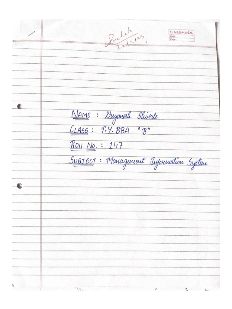 MIS Assignment | PDF