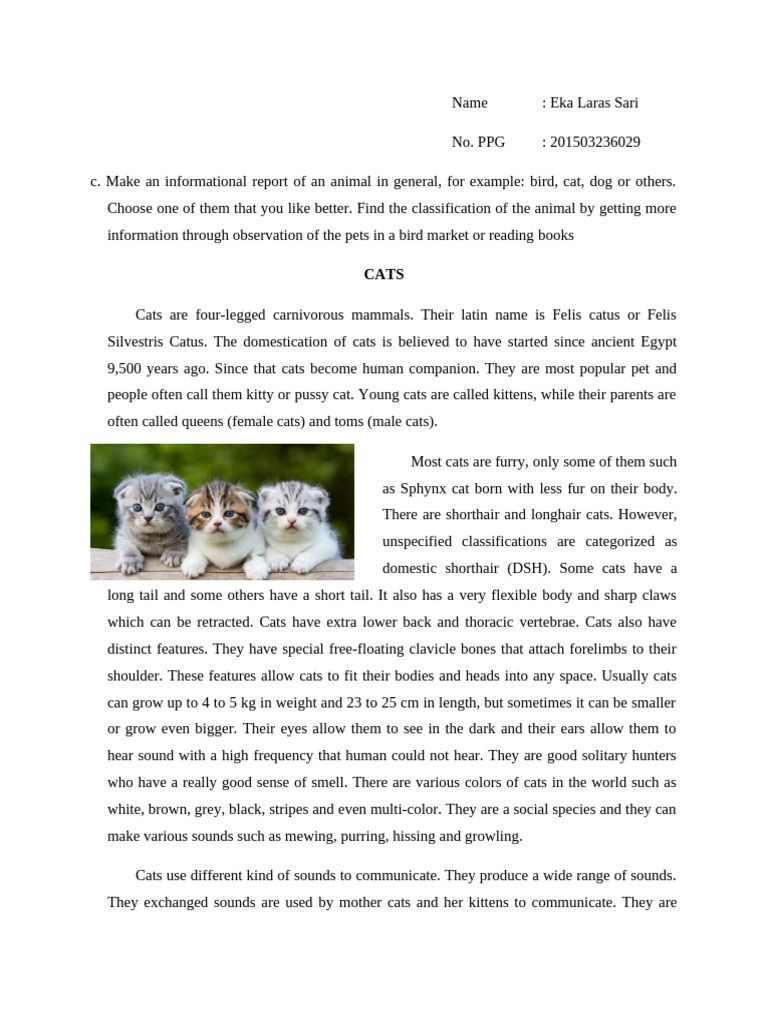 M3 - Eka Laras Sari - Animal Report | PDF | Cats | Zoology