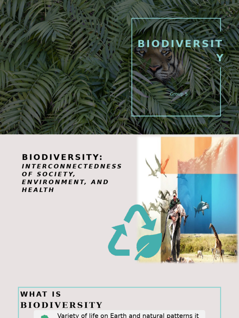 Understanding Biodiversity and GMOs | PDF | Genetically Modified ...