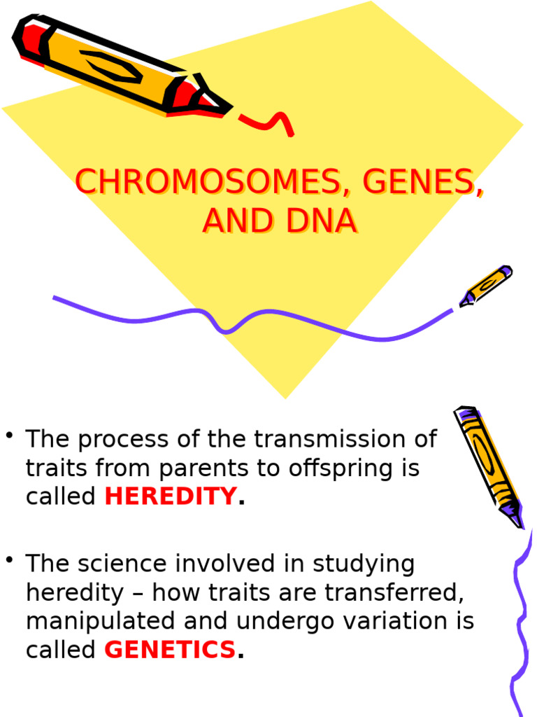 Chromosomes, Genes, And Dna | PDF | Dominance (Genetics) | Chromosome