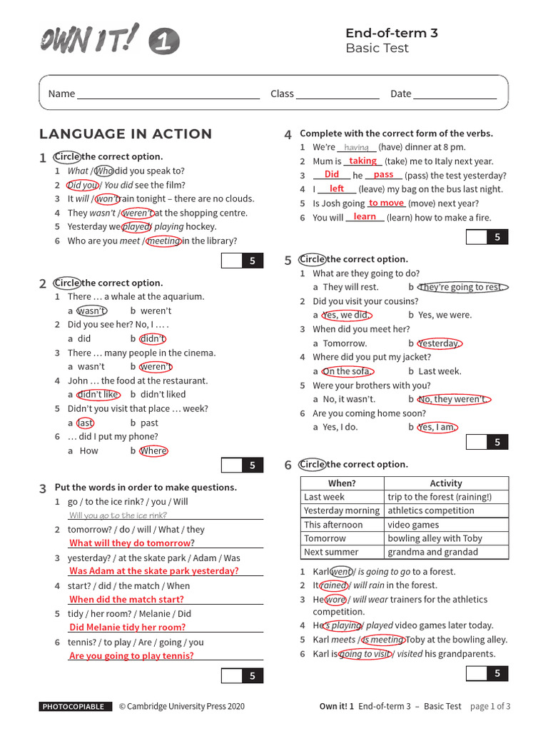 Term3 Basic With Answers | PDF