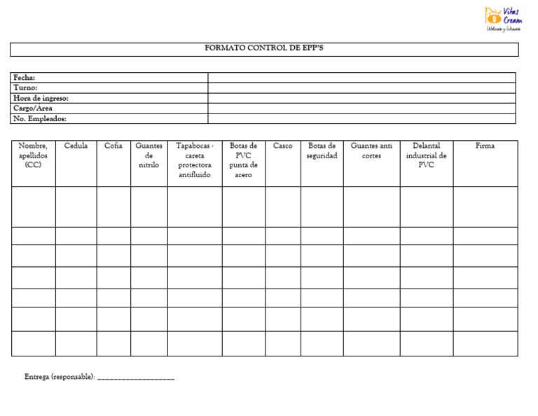 Formato de Control de Epp's | PDF