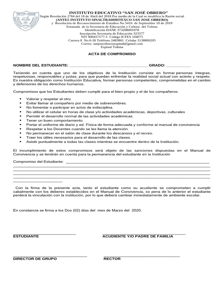 Formato Disciplinario | PDF