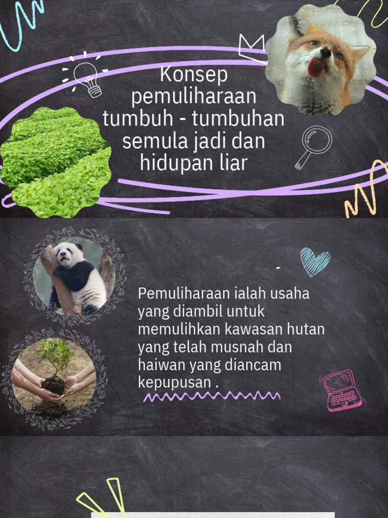 Konsep Pemuliharaan Tumbuh-Tumbuhan Semula Jadi Dan Hidupan Liar | PDF