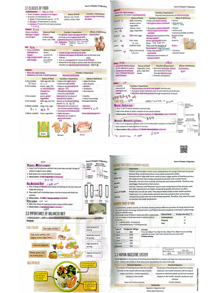 SC Form 2 Unit 3 | PDF