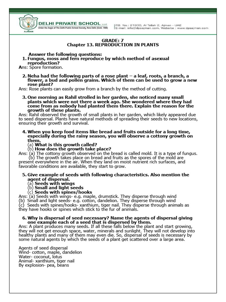 Plant Reproduction Methods Explained | PDF | Flowers | Seed