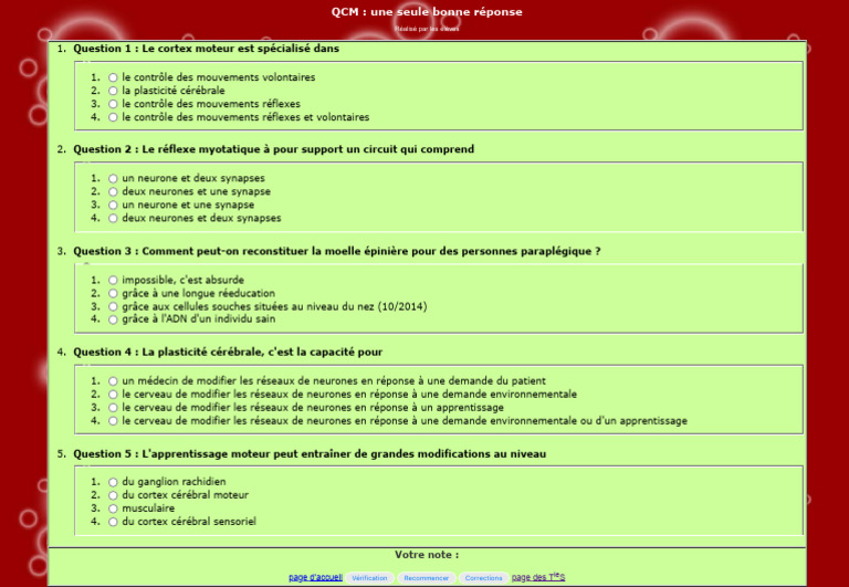 Questionnaire sur le Système Nerveux | PDF