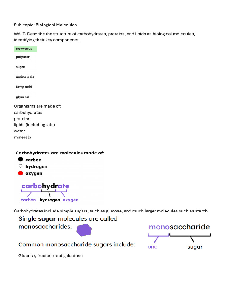 Overview of Biological Molecules | PDF