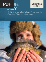 Kentucky Fish Species Guide | PDF | Fish | Aquatic Animals