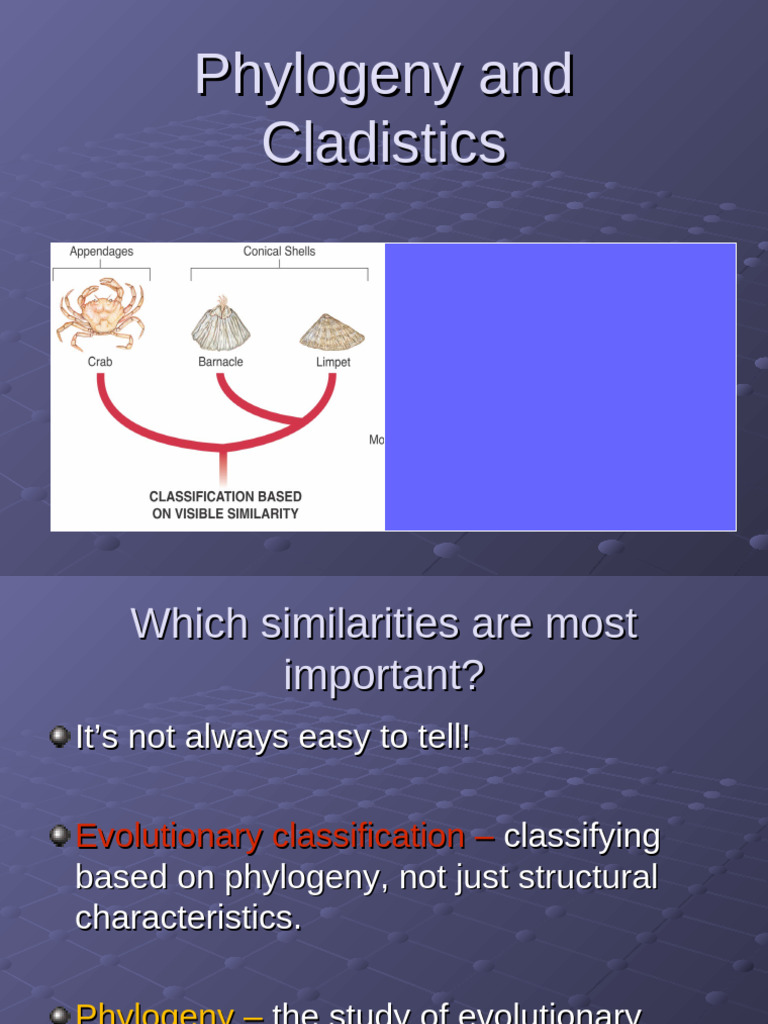 Phylogeny and Cladistics.. | PDF | Species | Molecular Phylogenetics
