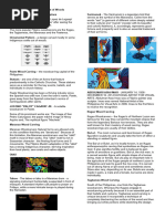 Bulul, Also Known As Bul-Ul or Tinagtaggu, Is A Carved Wooden Figure ...