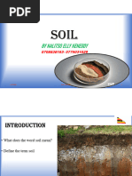 Biology Practical File Class 12 Cbse | PDF