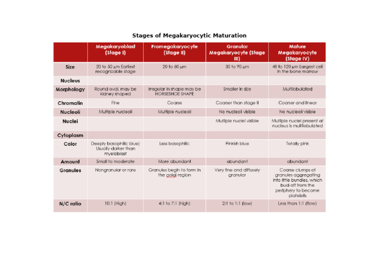 Hematology Table | PDF