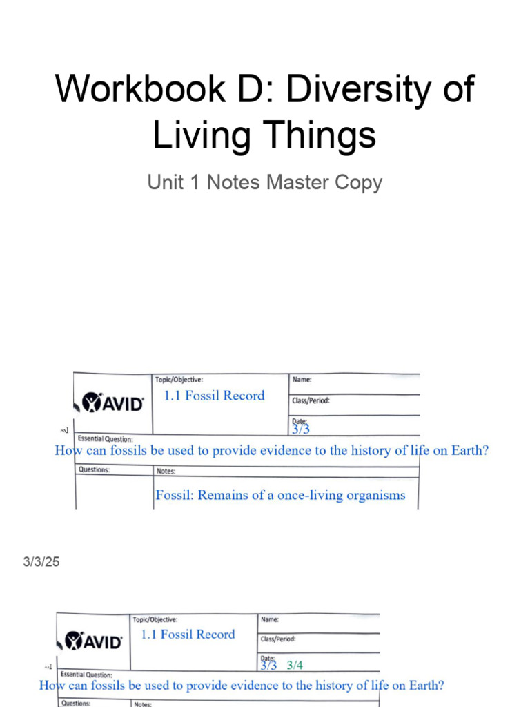 Workbook D Unit 1 | PDF