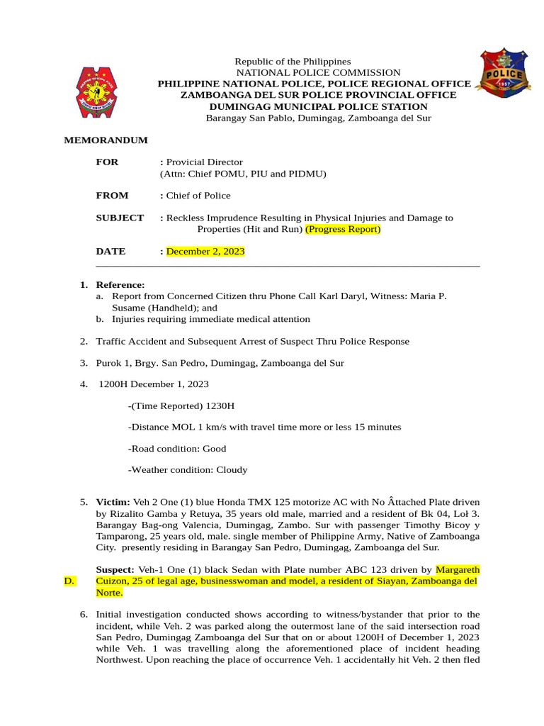 Sample Progress Report Format | PDF | Crimes | Crime & Violence