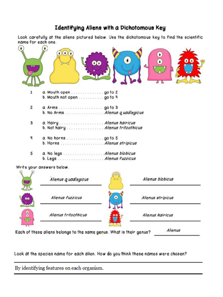 2b-Dichotomous Key Worksheet Answers - Aliens and Assorted Animals | PDF
