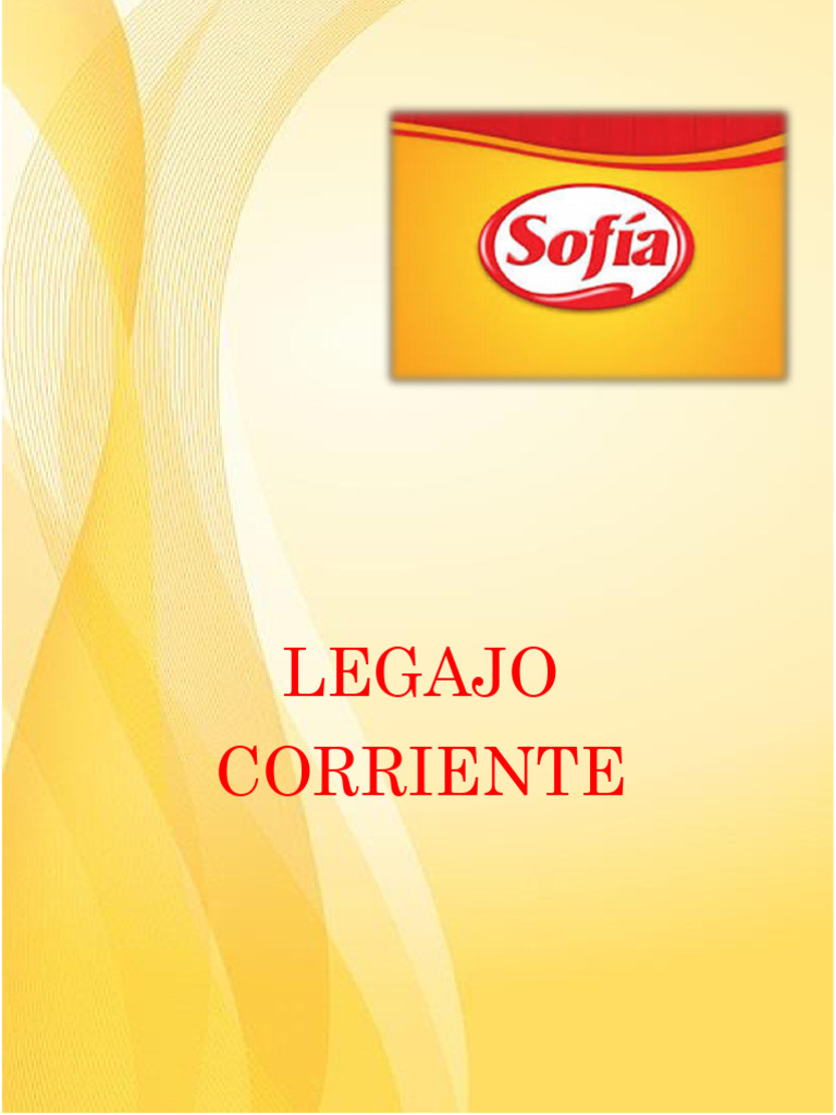 Legajo Corriente Empresa Sofia Ltda | PDF | Contabilidad | Auditoría
