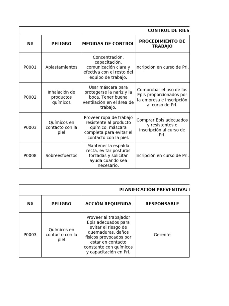Control de Riesgos PRL | PDF