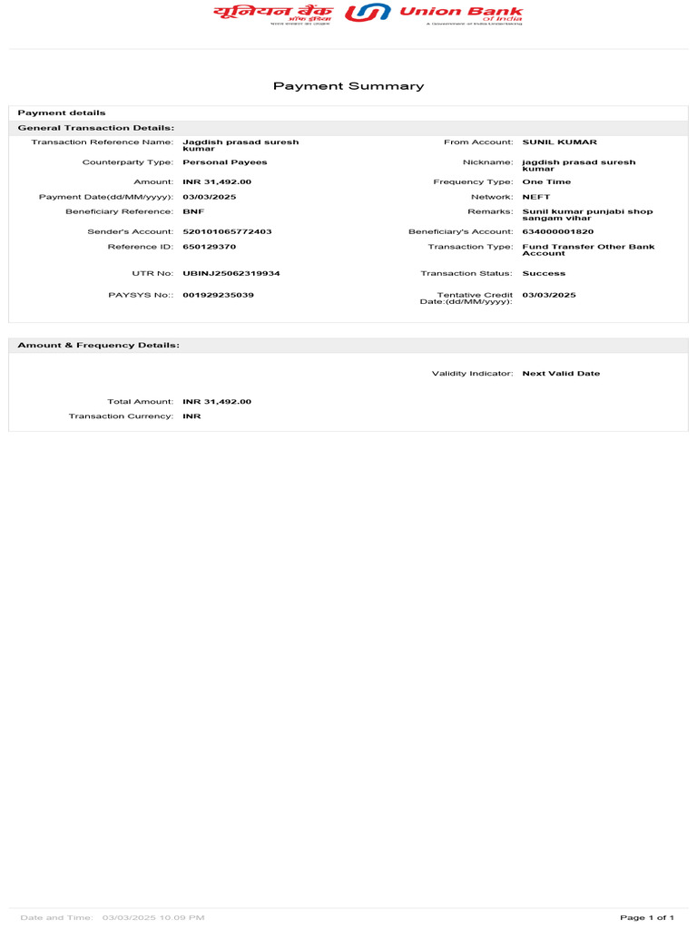 Single Entry Payment Summary | PDF