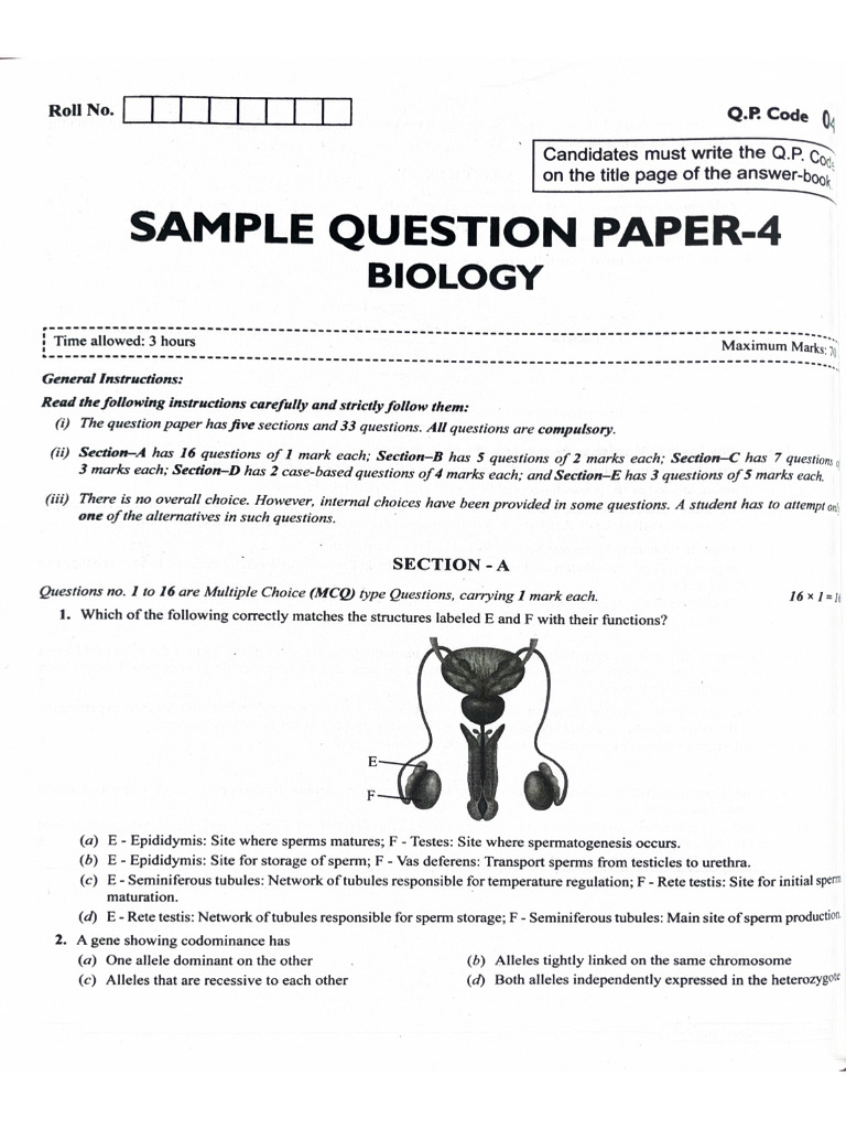Class 12 Bio SP4 | PDF