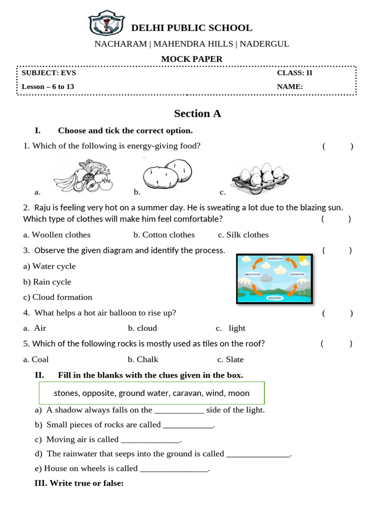 Grade 2 EVS Mock Paper Term-2 | PDF