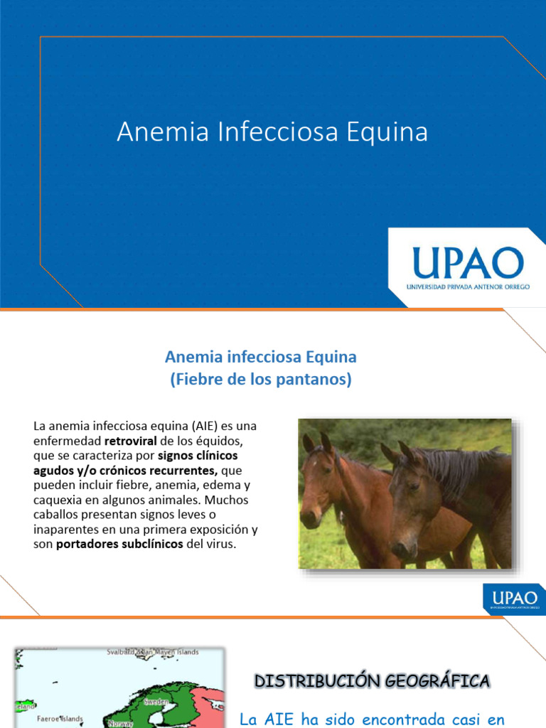 S06_PDF_ Anemia infecciosa equina | PDF | Virus | Infección